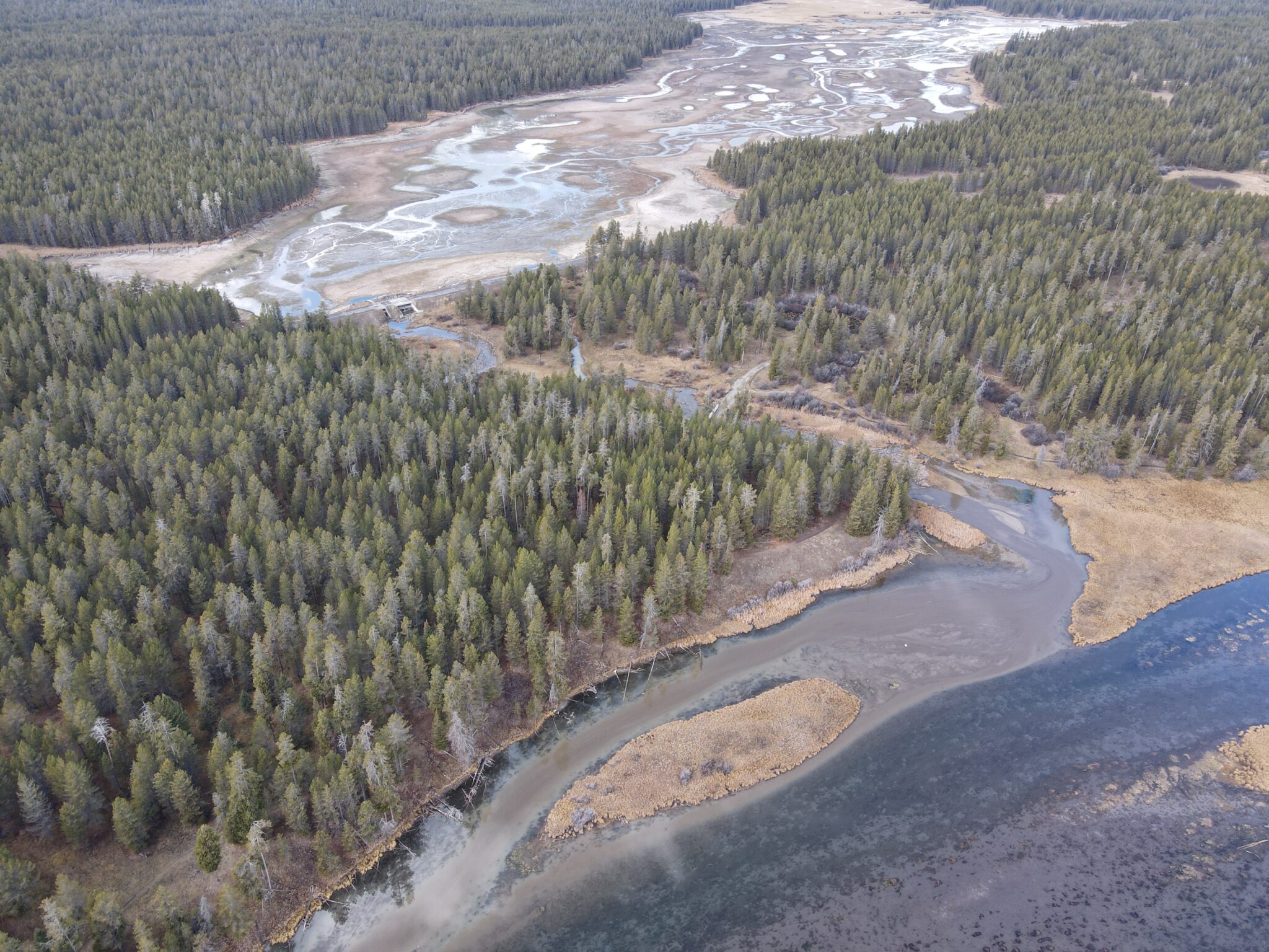Estimation of Thurmon Creek sediment load following the drawdown of ...
