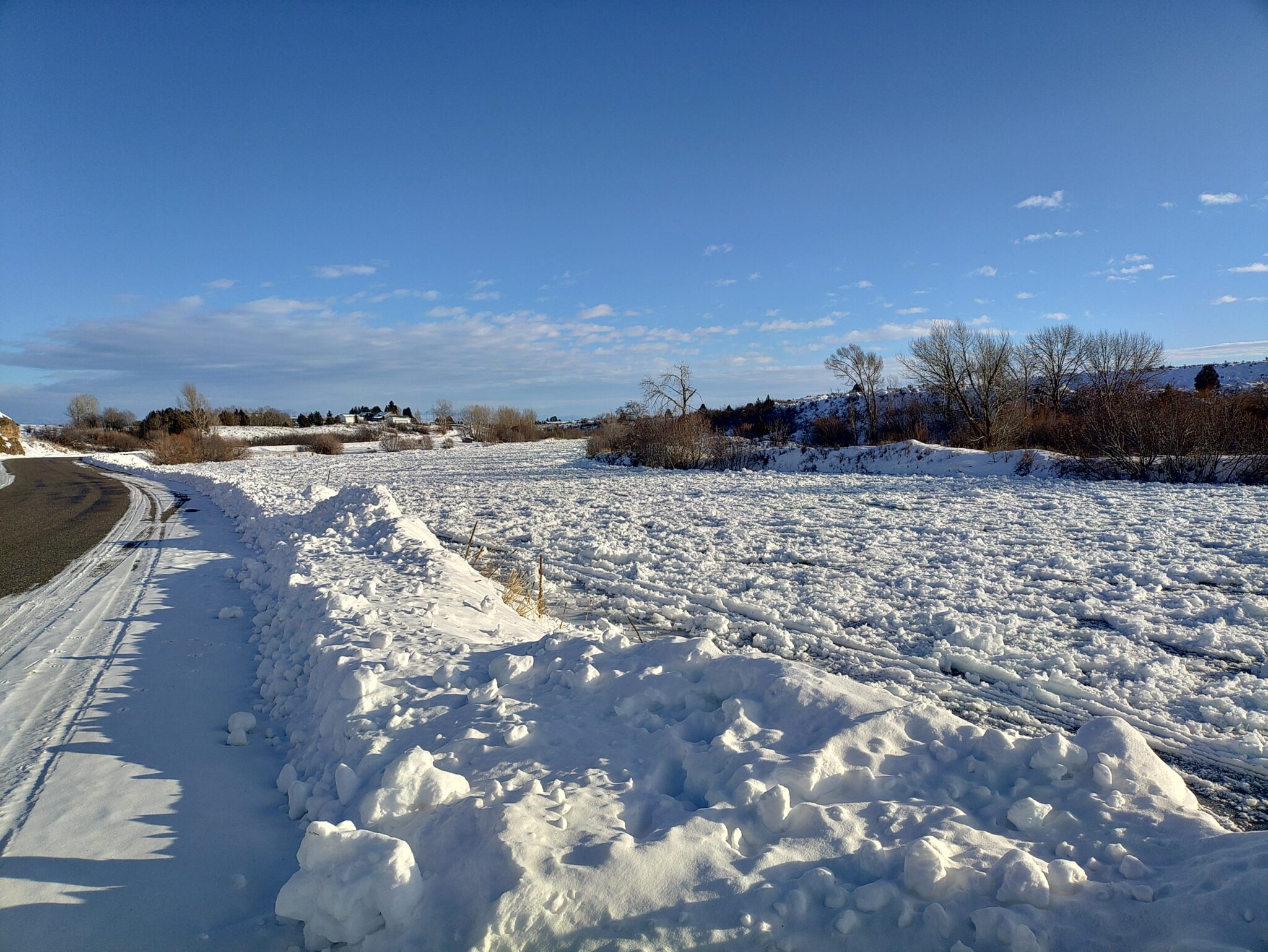 Fish of the Month: Year 11 - Henry's Fork Foundation